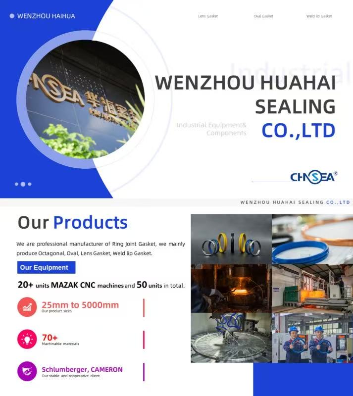 Special design of oval gasket